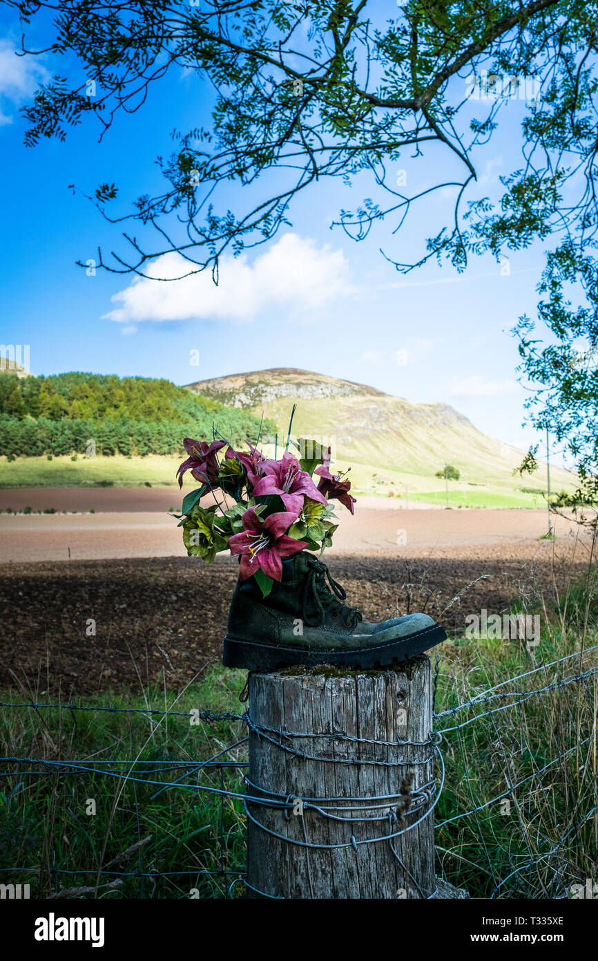 Wildflowers vase hi-res stock photography and images - Alamy