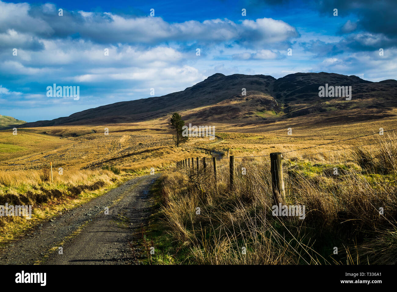 The Ochil mountains, Scottish highlands Stock Photo - Alamy