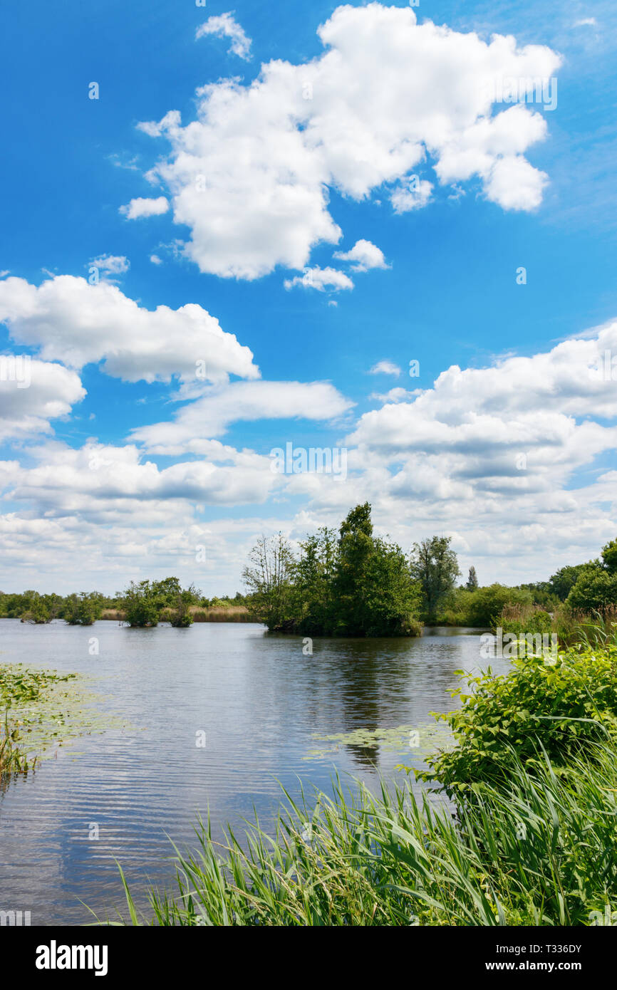 Typical dutch flat landscape wetlands wetlands on a sunny day onder a ...