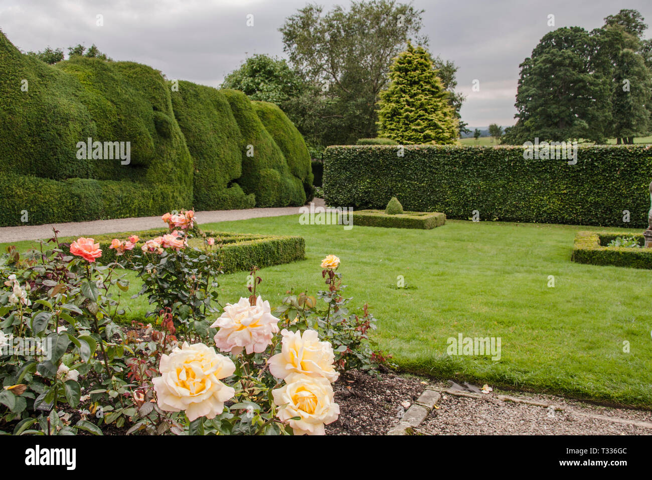 Deer raby castle hi-res stock photography and images - Alamy