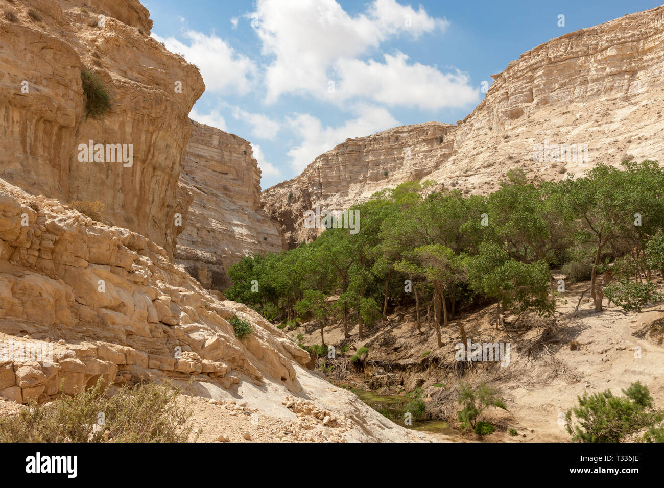 Ein Avdat is a canyon in the Negev Desert of Israel, south of Kibbutz Sde Boker. Archaeological ...