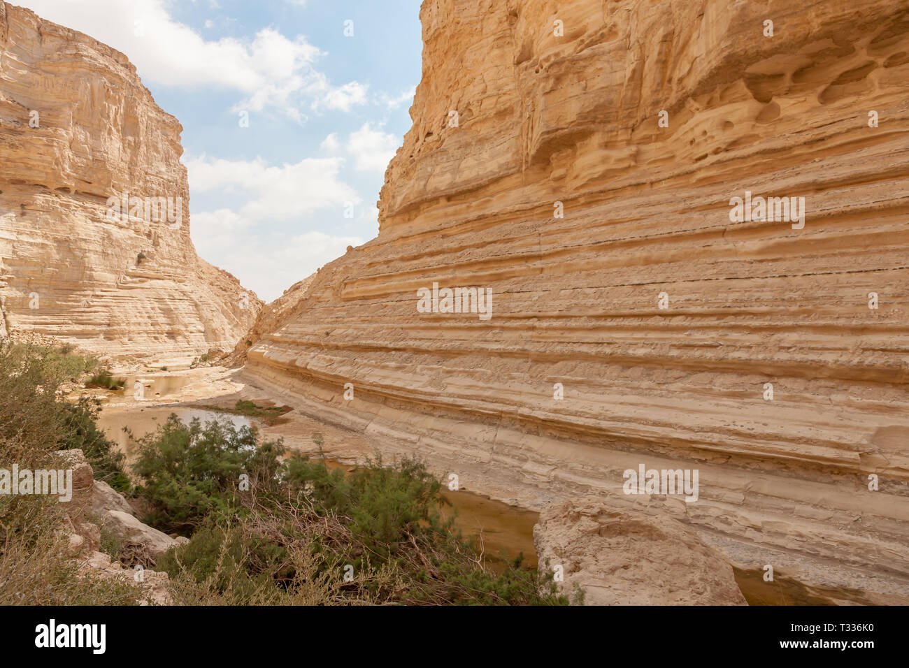 Ein Avdat is a canyon in the Negev Desert of Israel, south of Kibbutz Sde Boker. Archaeological ...