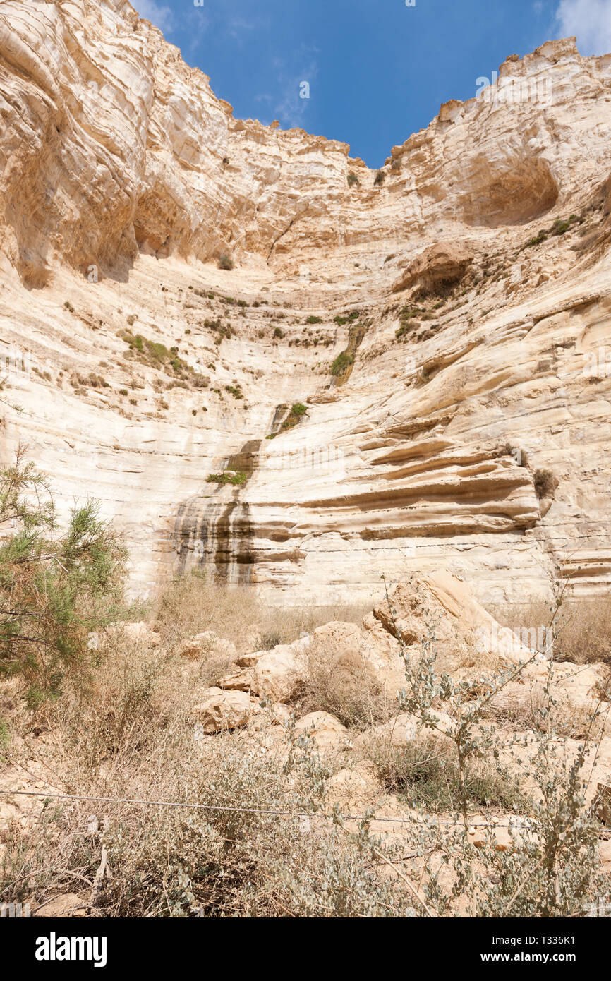 Ein Avdat is a canyon in the Negev Desert of Israel, south of Kibbutz ...