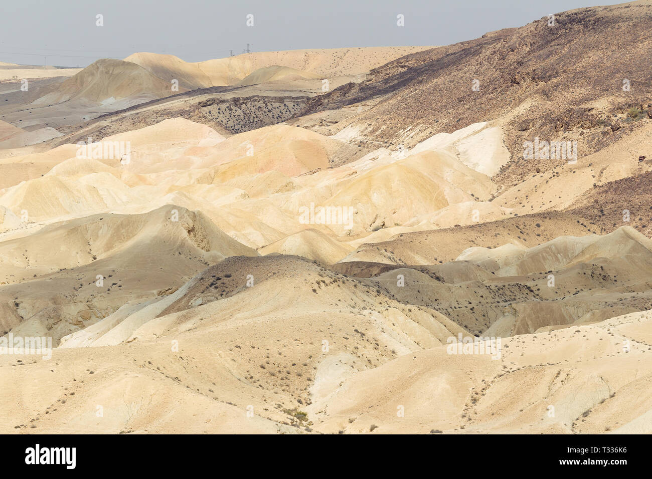 desert landscape of the Ramon Crater (Makhtesh Ramon), the largest in ...