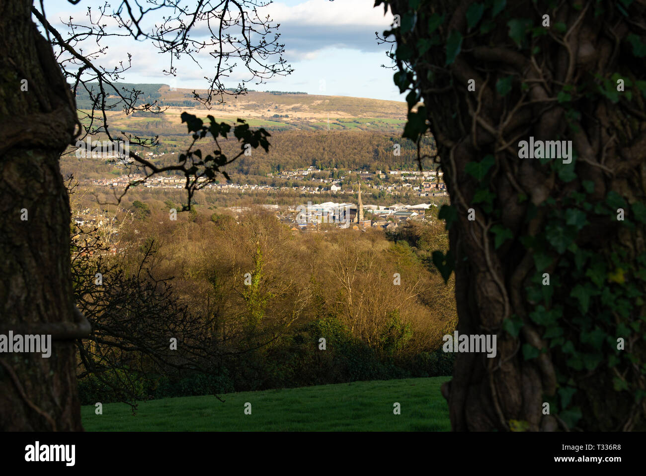 Village view through the trees in the spring Stock Photo - Alamy
