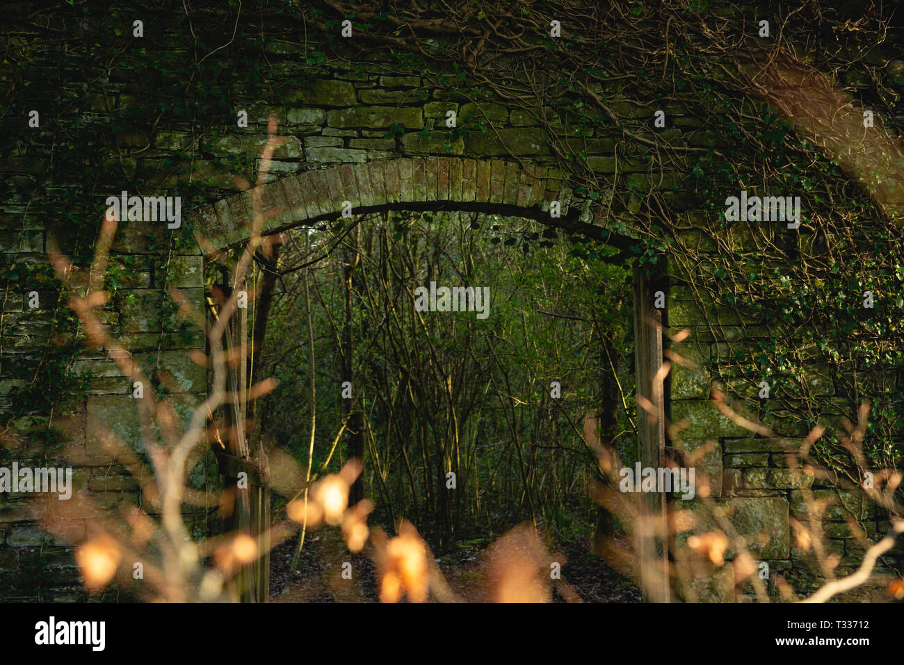 Shadow broken spectre hi-res stock photography and images - Alamy