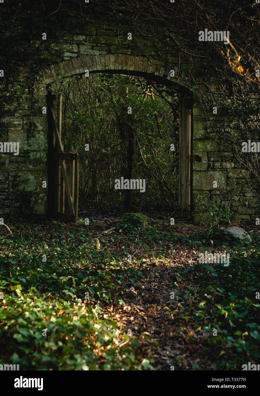 Secret entrance in the forest / Gothic image of an entrance in a castle ...