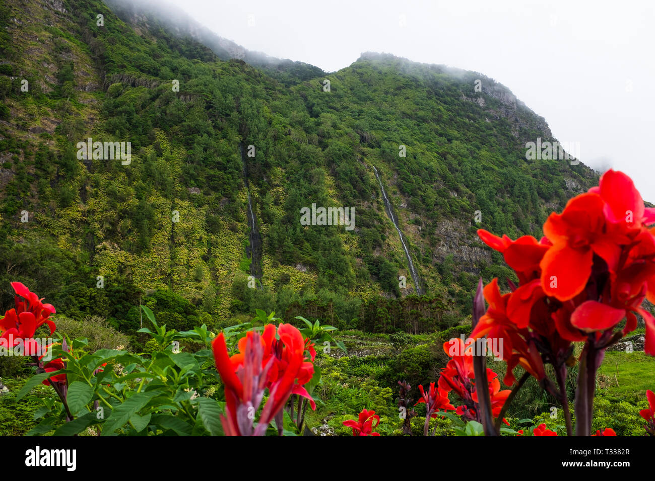 Poppy waterfall hi-res stock photography and images - Alamy