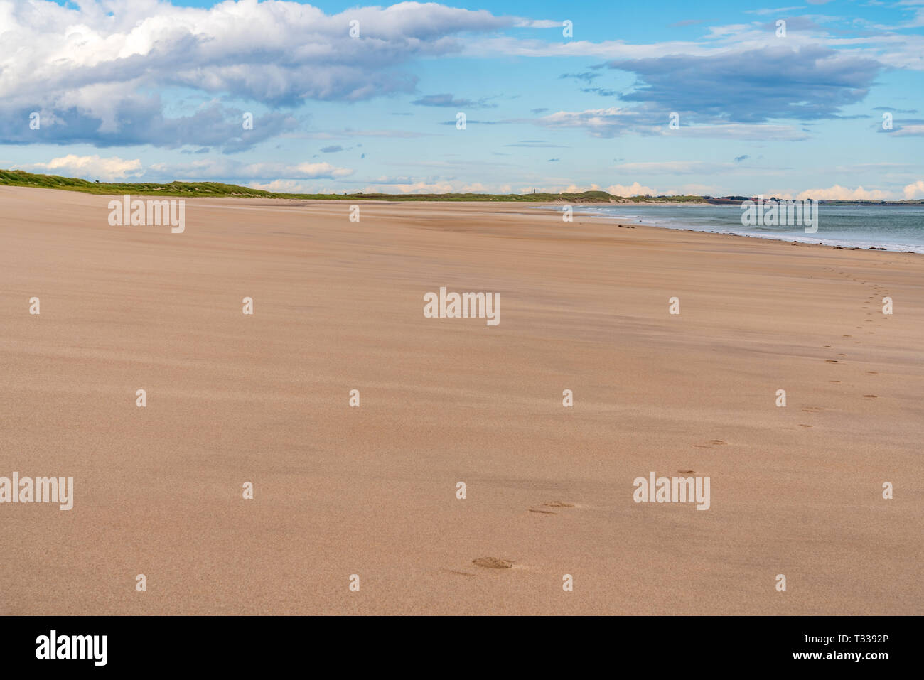 Ross beach northumberland hi-res stock photography and images - Alamy