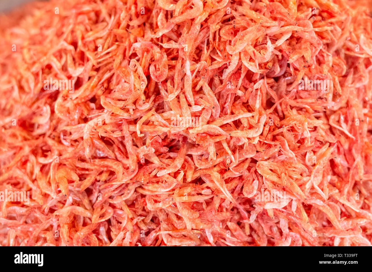 Sakura Shrimp High Resolution Stock Photography and Images - Alamy