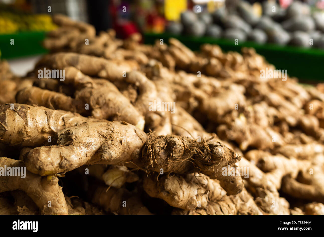 Ginger taiwan hi-res stock photography and images - Alamy