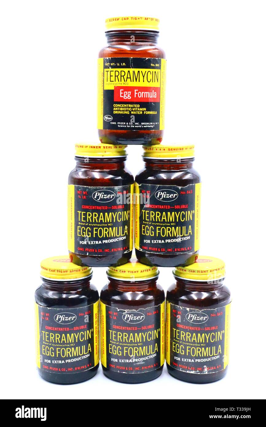 Vintage 1960 TERRAMYCIN Pfizer EGG FORMULA. Formulation of ...