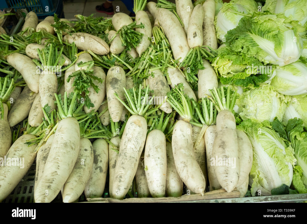 radish vegetables in the traditional market at Taiwan Stock Photo - Alamy