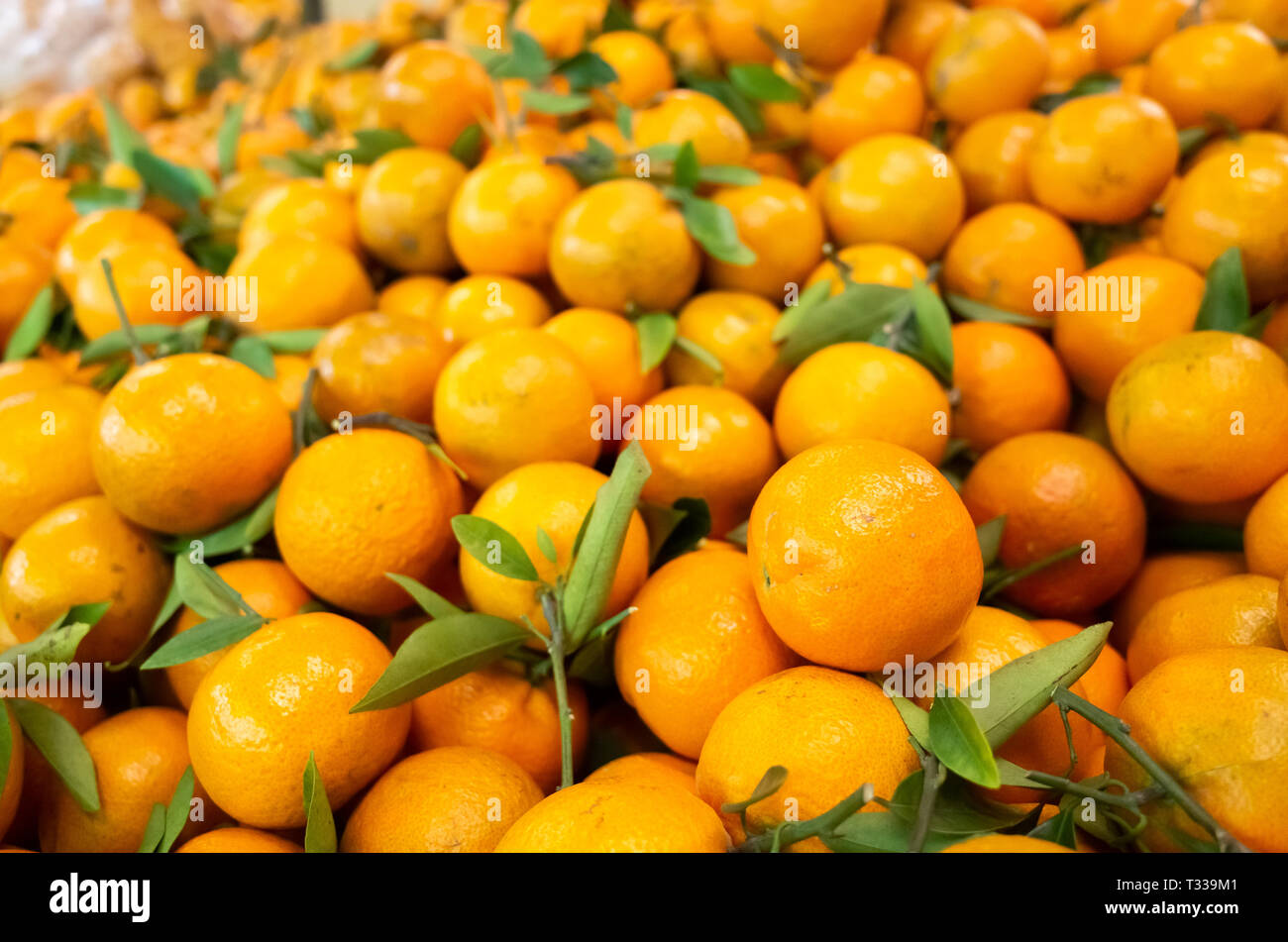 orange fruit stacked on the marketplace at Taiwan Stock Photo - Alamy