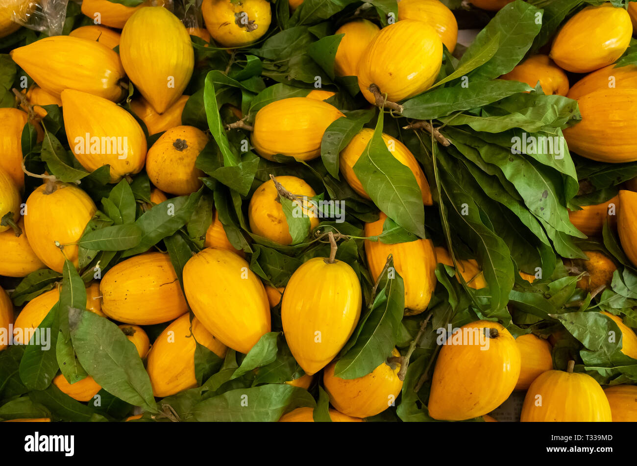 yellow tropical fruit of canistel at traditional marketplace in Taiwan ...