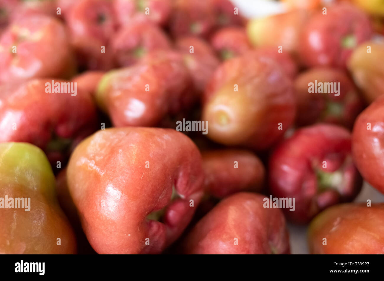 Wax apple hi-res stock photography and images - Alamy