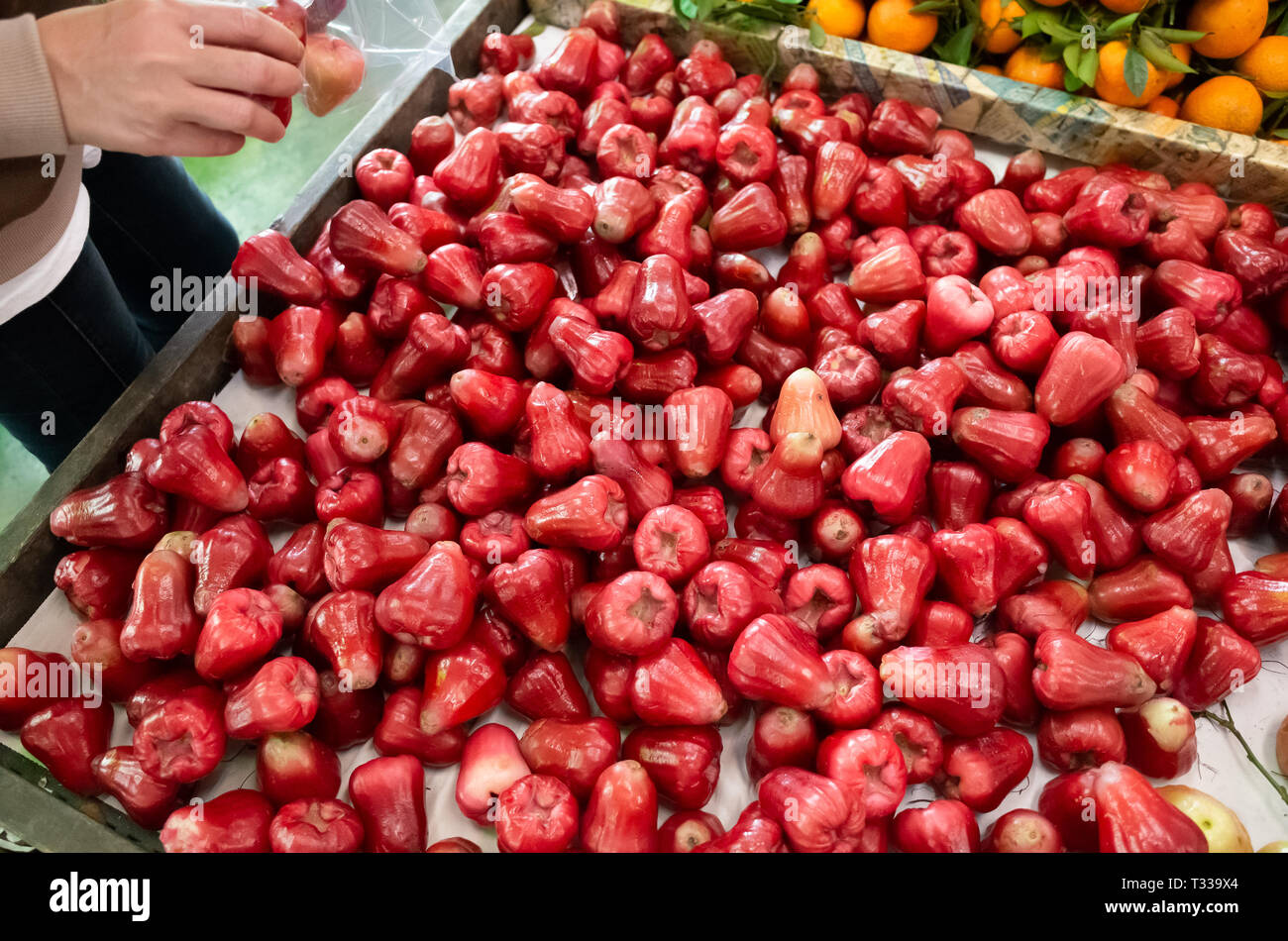 fresh wax apple fruit stack at the marketplace Stock Photo - Alamy
