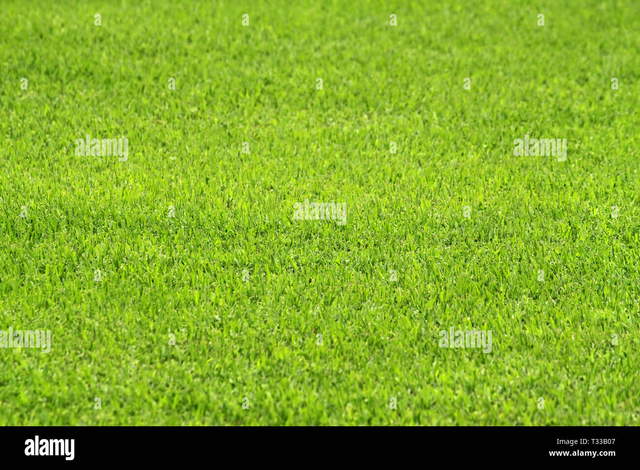 green grass, nature background Stock Photo - Alamy