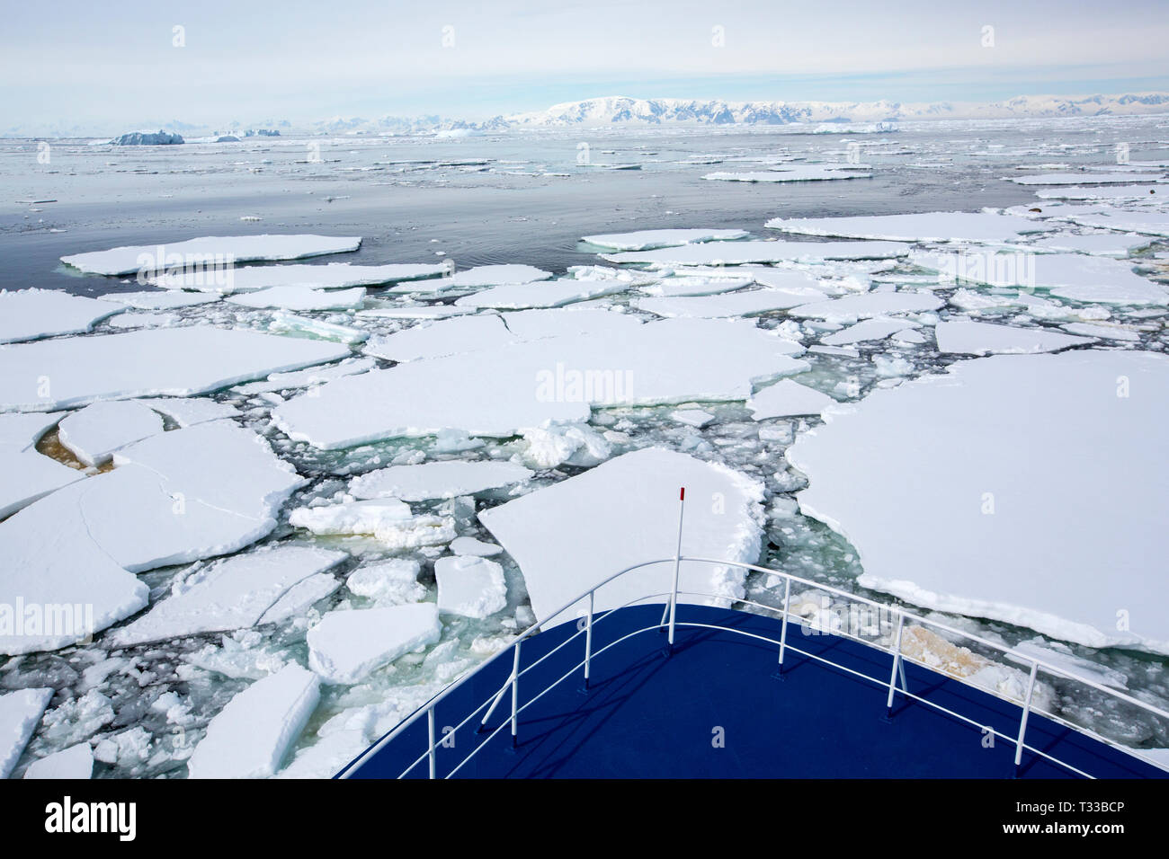 An ice strengthened Antarctic cruise ship pushing through sea ice near ...