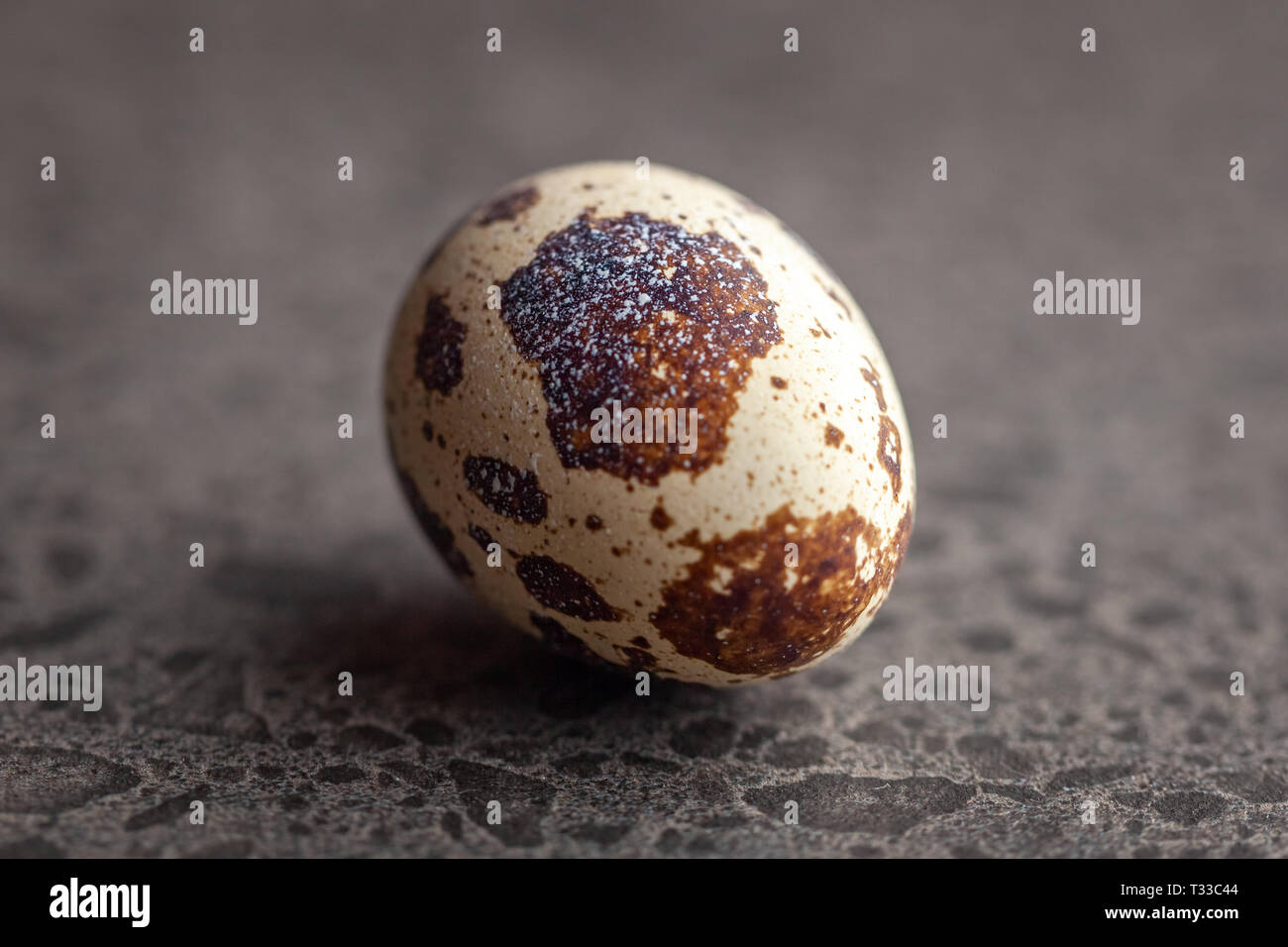 Small quail egg on the stone background, eco product Stock Photo - Alamy