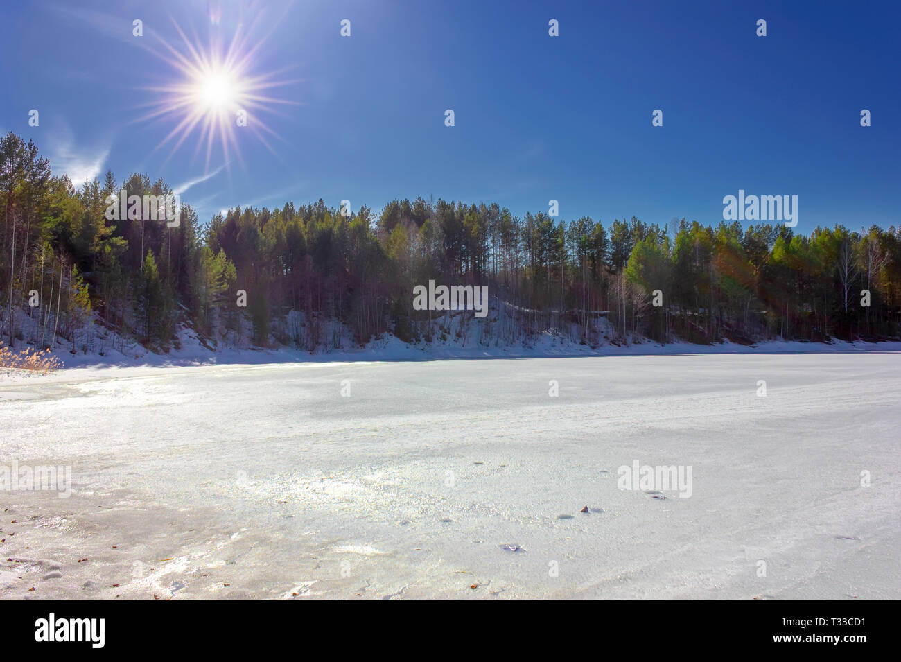 Forest in spring with beautiful bright sun rays Stock Photo - Alamy
