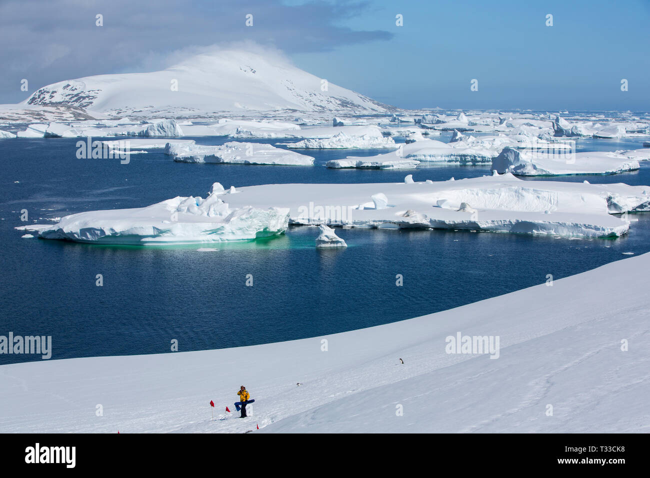 Icebergs at Port Charcot, Wilhelm Archipelago, Antarctic Peninsular ...