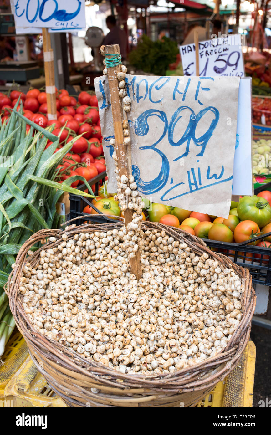 Live white snails Lumache on sale with euro price ticket at Ballero ...