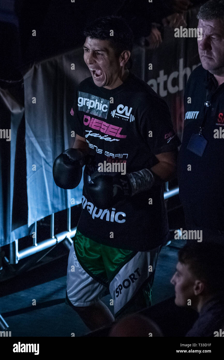 Boxing british lightweight boxers hi-res stock photography and images ...