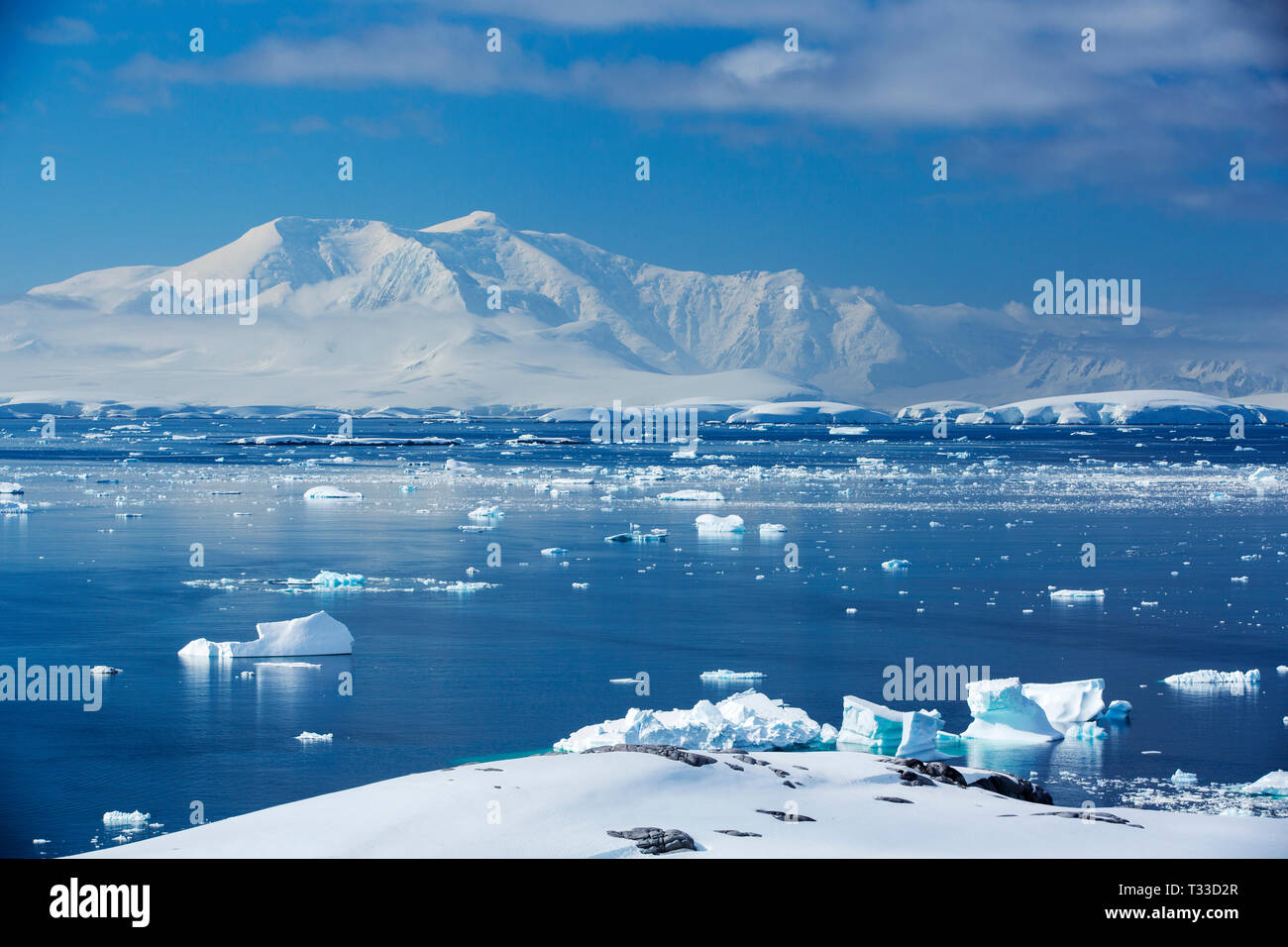 Charcot island hi-res stock photography and images - Alamy