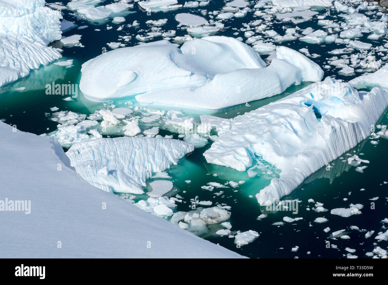 Icebergs at Port Charcot, Wilhelm Archipelago, Antarctic Peninsular ...