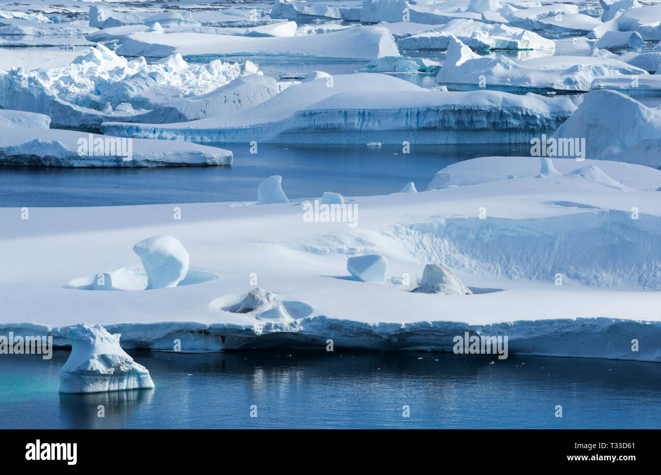 Icebergs at Port Charcot, Wilhelm Archipelago, Antarctic Peninsular ...