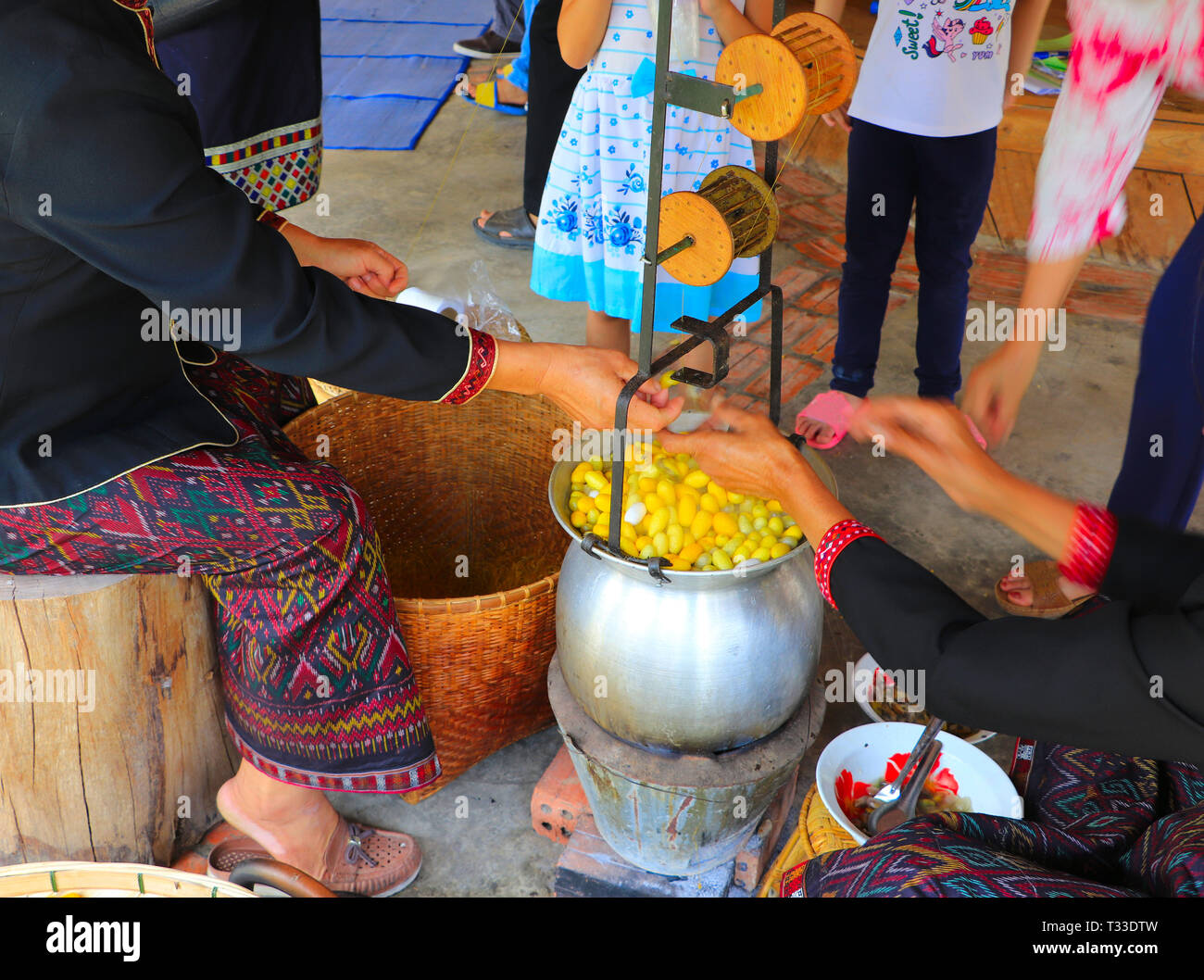 Degumming silk cocoon - How silk is processed for human usage Stock ...