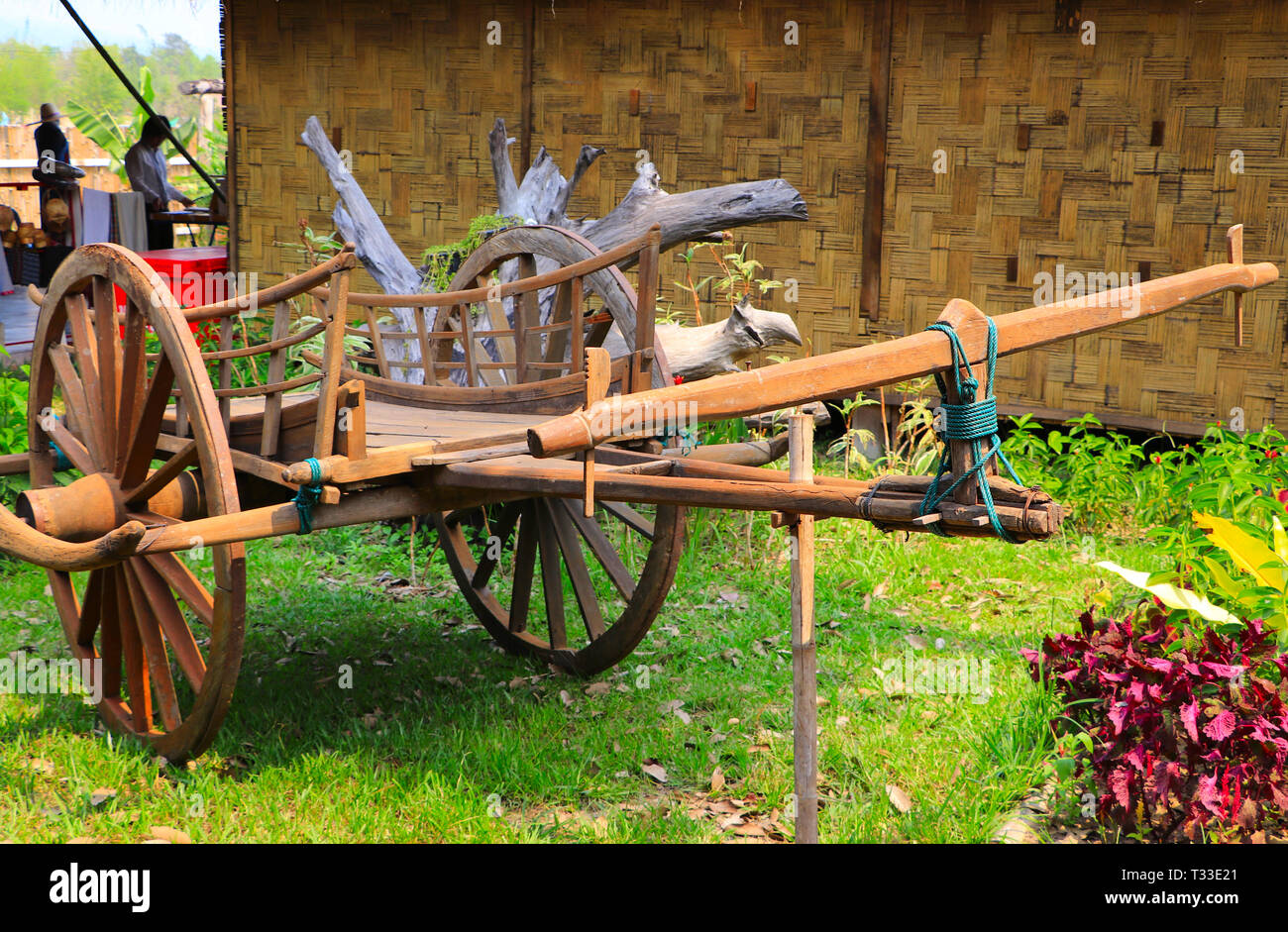 Wooden vintage ox cart (oxcart) displays outdoors at cultural park ...