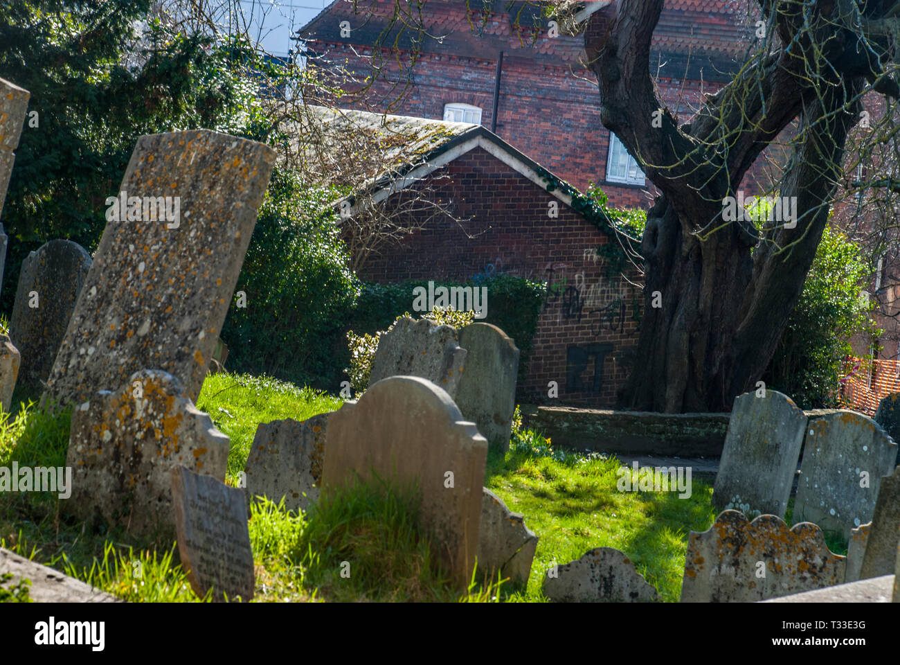 tombstones at the Old Cemetery in Guildford city Stock Photo - Alamy