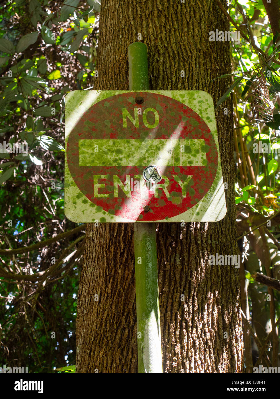 No Entry Sign On A Bush Walk Stock Photo - Alamy