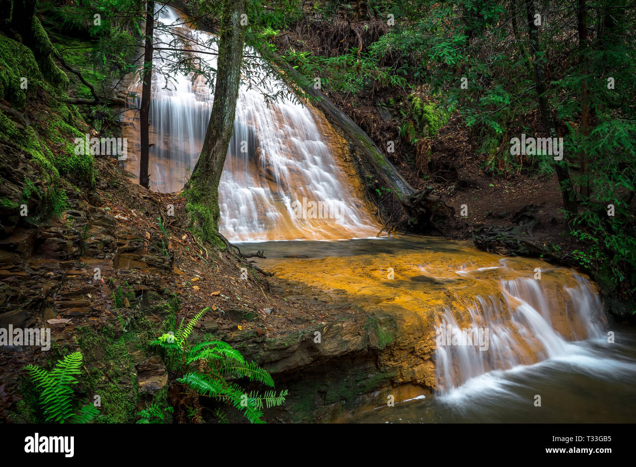 Golden Cascade Terraced Falls - Big Basin State Park, Santa Cruz ...