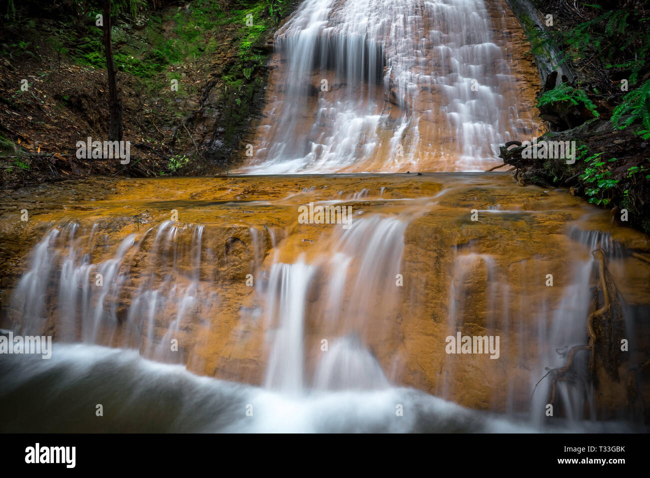 Golden Cascade Terraced Falls - Big Basin State Park, Santa Cruz ...