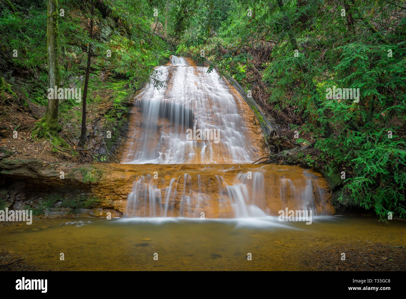 Golden Cascade Falls - Big Basin State Park, California Stock Photo - Alamy