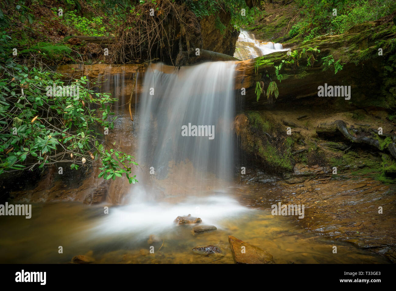 Perfect Waterfall Over Rock - Big Basin State Park, Santa Cruz ...