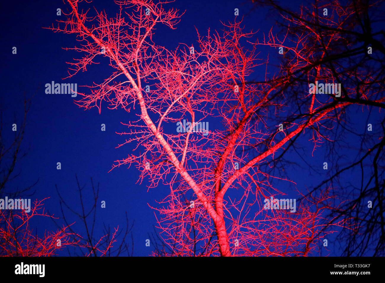 Blue night sky background images hi-res stock photography and images ...
