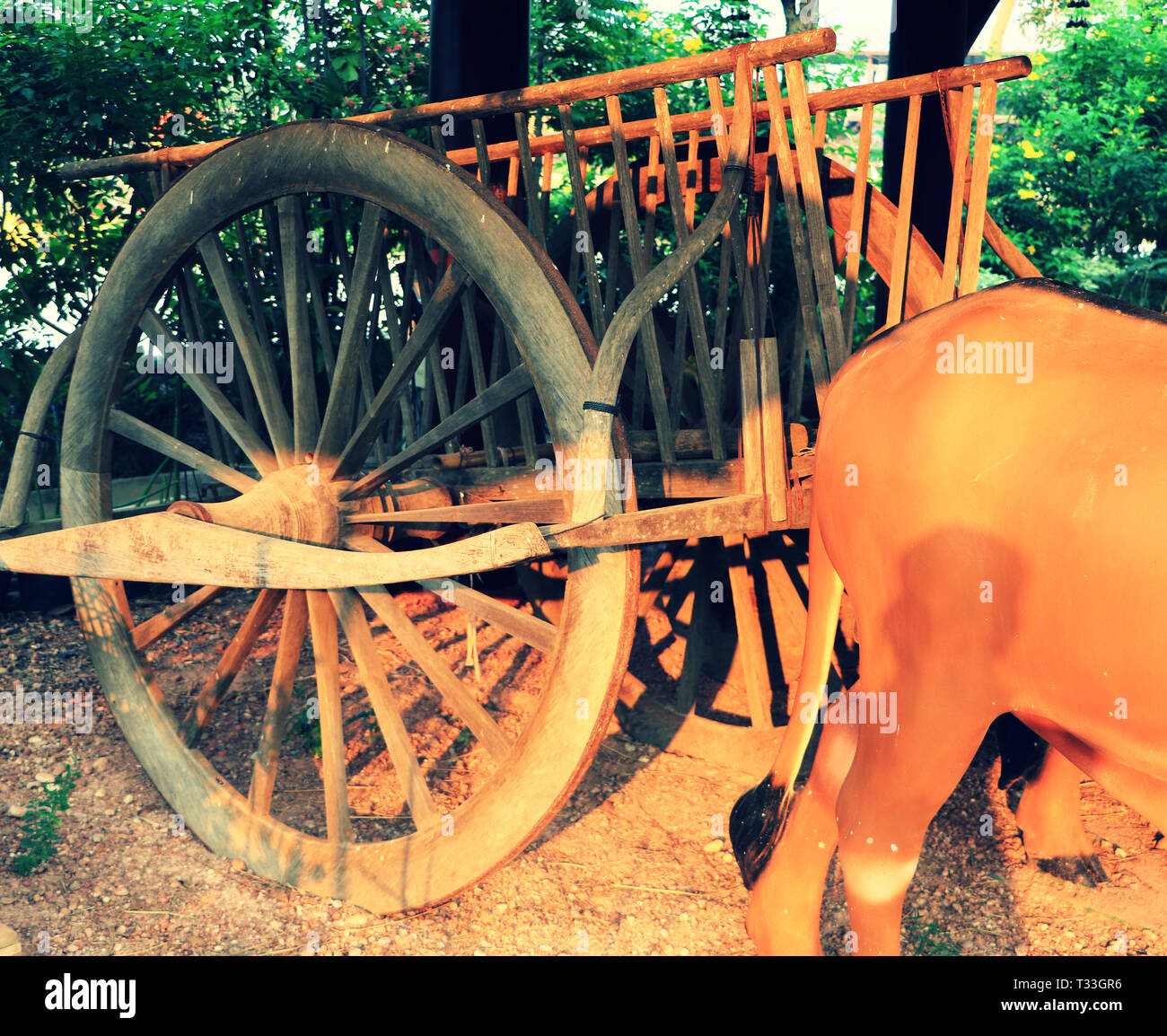 Wooden vintage ox carts (oxcart) display at cultural park - Natural and ...