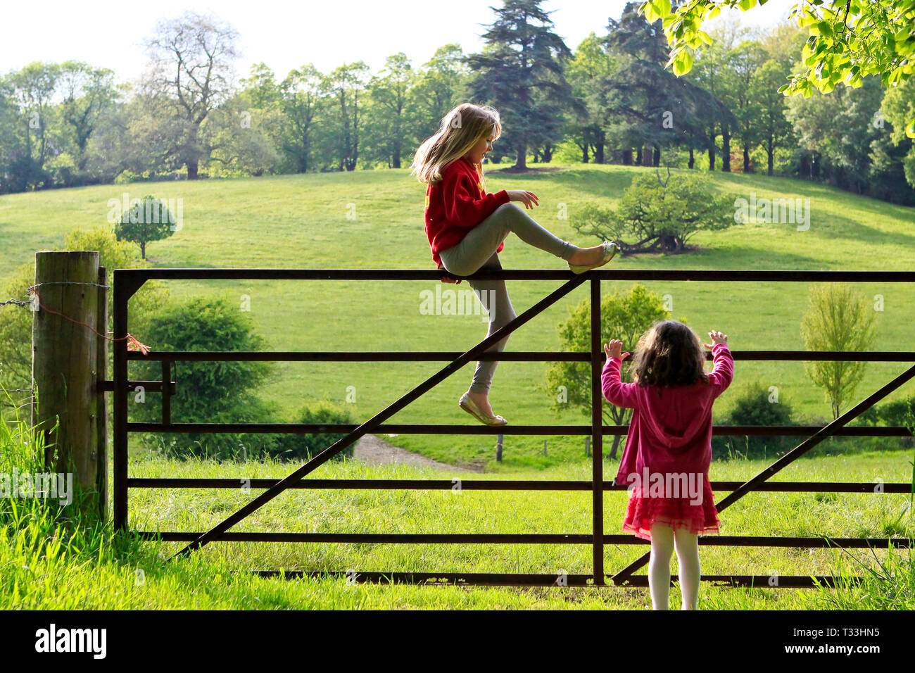 Climbing over a field gate at Heaven Farm campsite, Sussex, Kent Stock ...