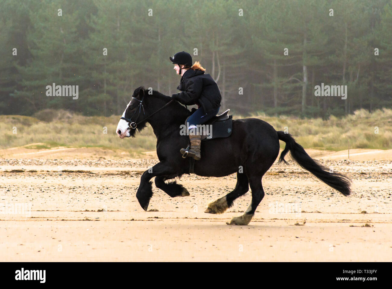 Galloping horse rider view hi-res stock photography and images - Alamy