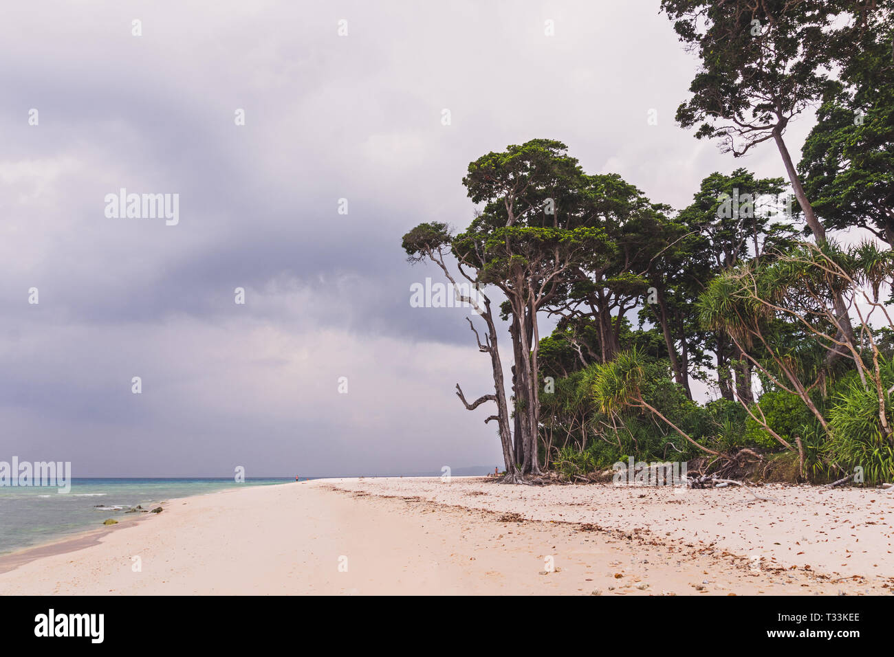 Koh Miang, the second largest island of Similan Islands. It is a white ...