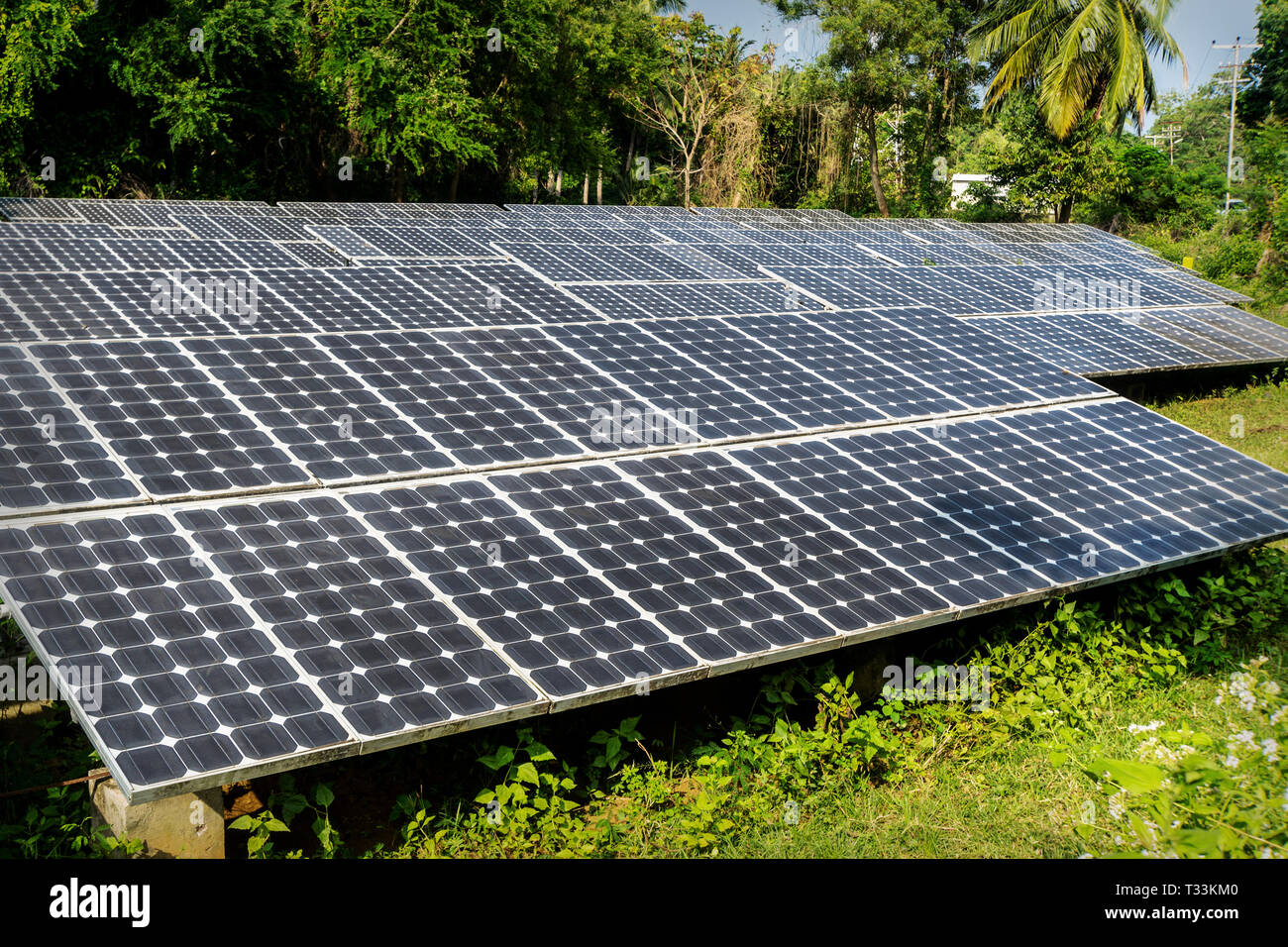 Large solar panels in the rainforest. Alternative solar energy ...