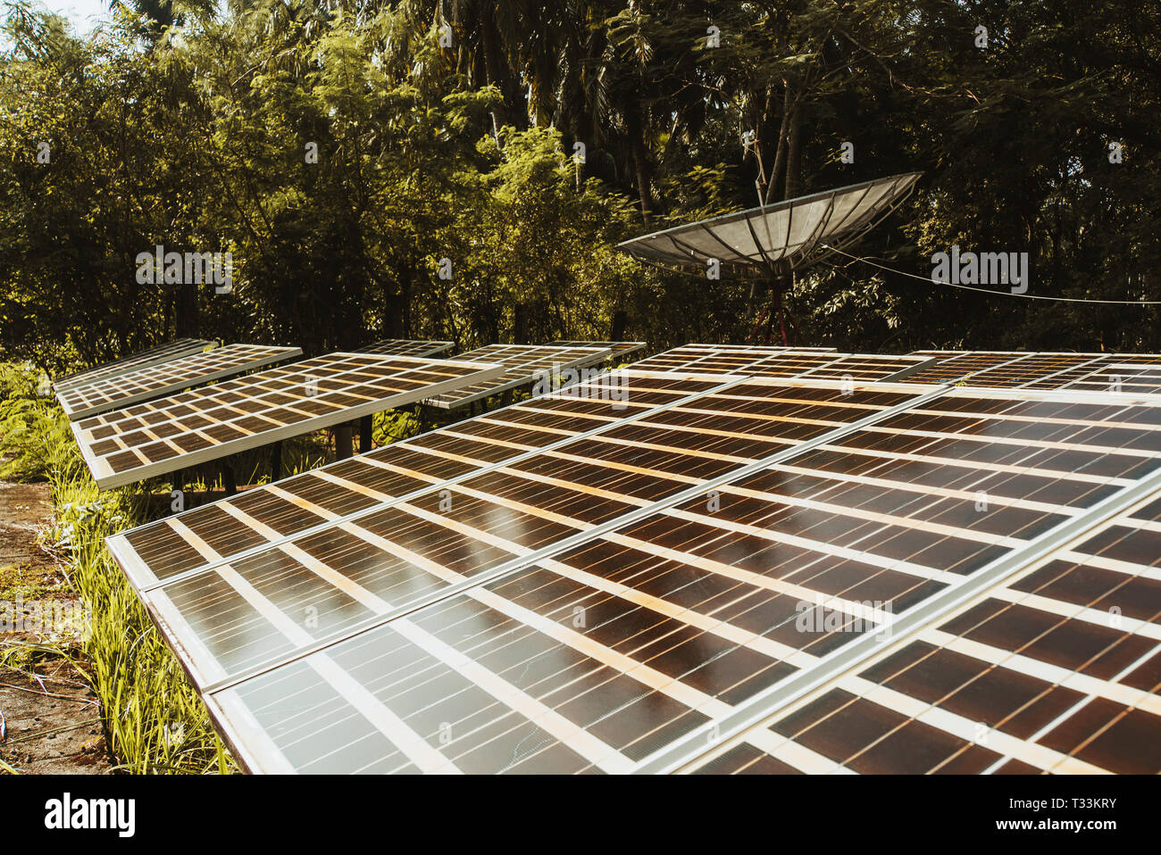 modern satellite dish and solar panels in the jungle forest. satellite ...