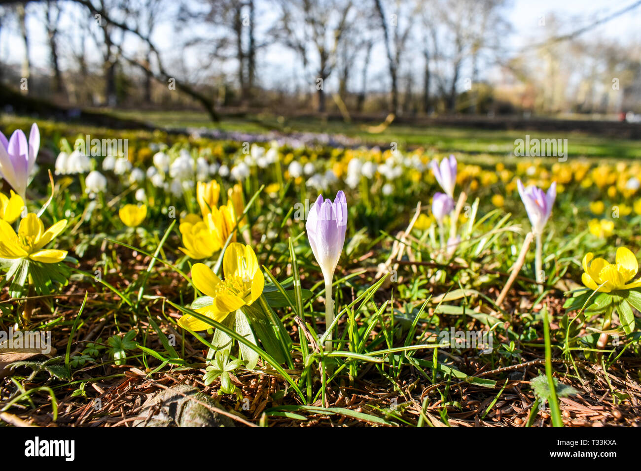 Lively spring park hi-res stock photography and images - Alamy