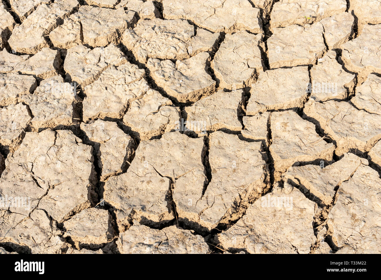 Barren land, Dry soil in arid areas background and texture Stock Photo ...