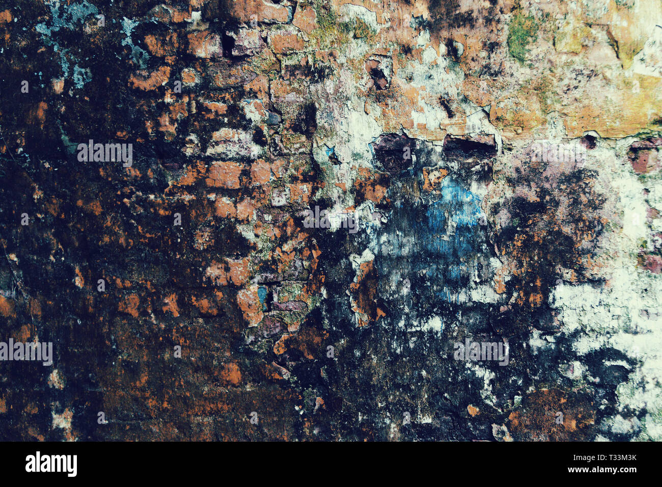abandoned grunge cracked brick stucco wall background. moldamer ...