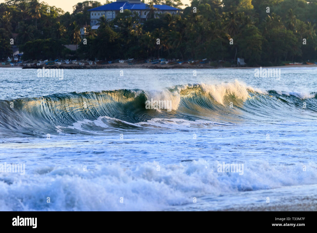 Ocean wave at the beach. Evening. Tangalle, Sri Lanka Stock Photo - Alamy